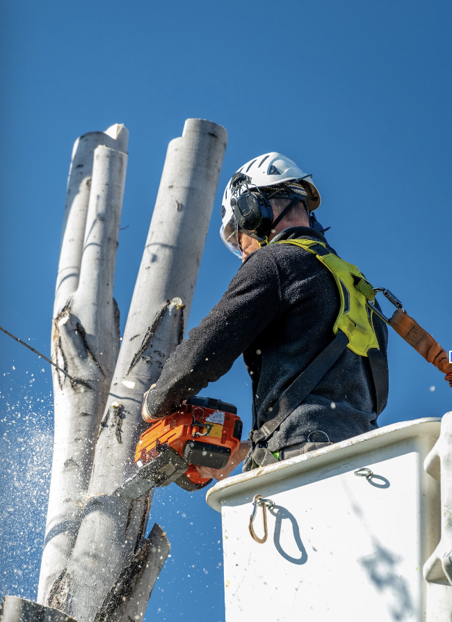 KloudGin Core – KloudGin